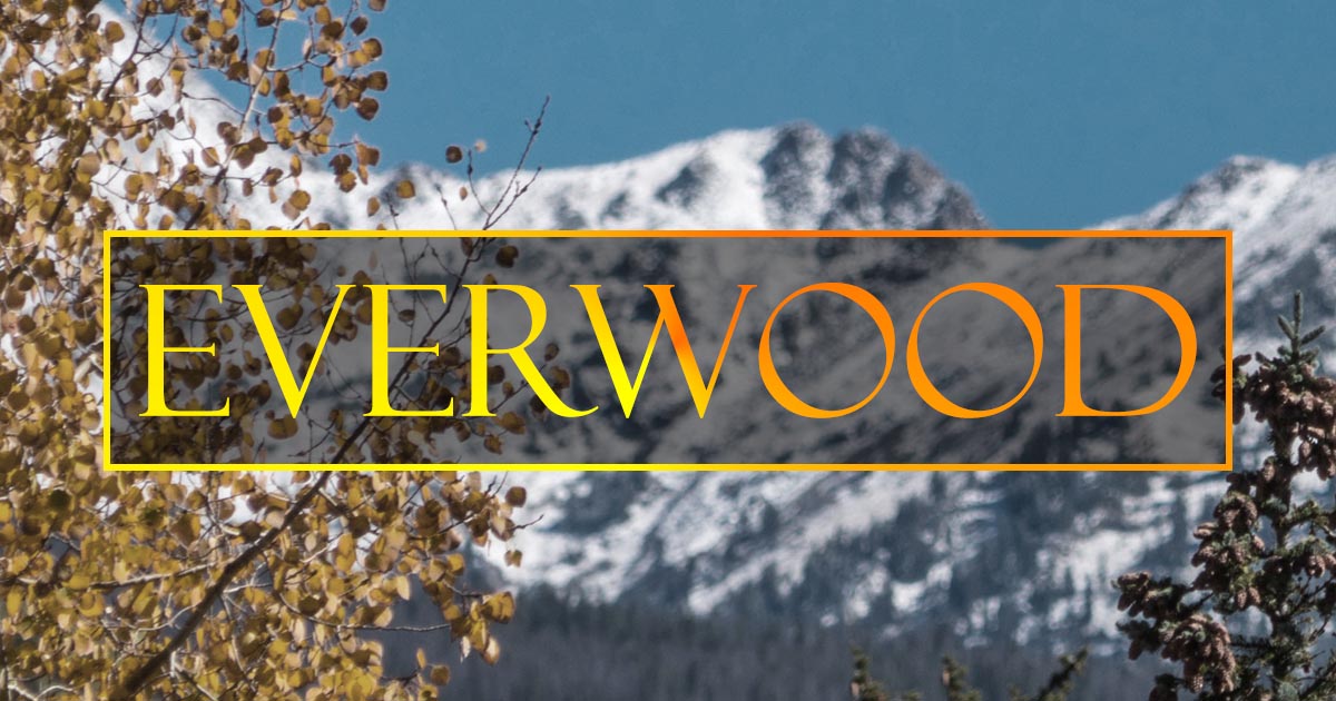 Everwood - News: Scott Wolf kehrt für Handlungsbogen für Staffel 2 zu ...