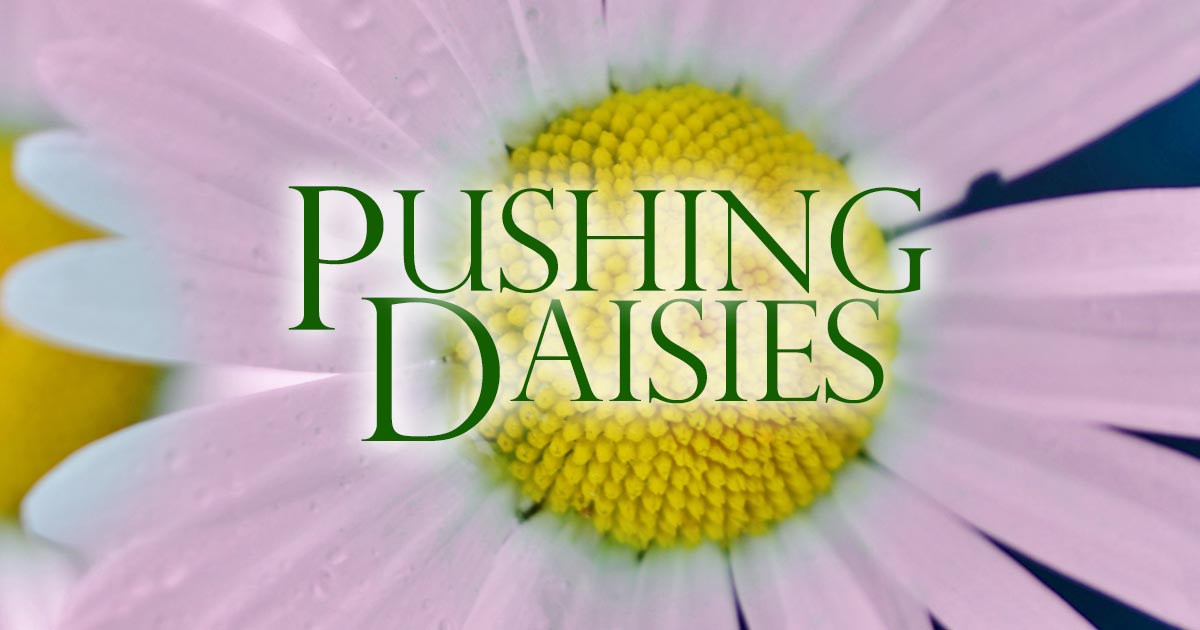 Pushing Daisies - News: FOX veröffentlicht Trailer für Neustart "Monarch" mit Anna Friel - myFanbase